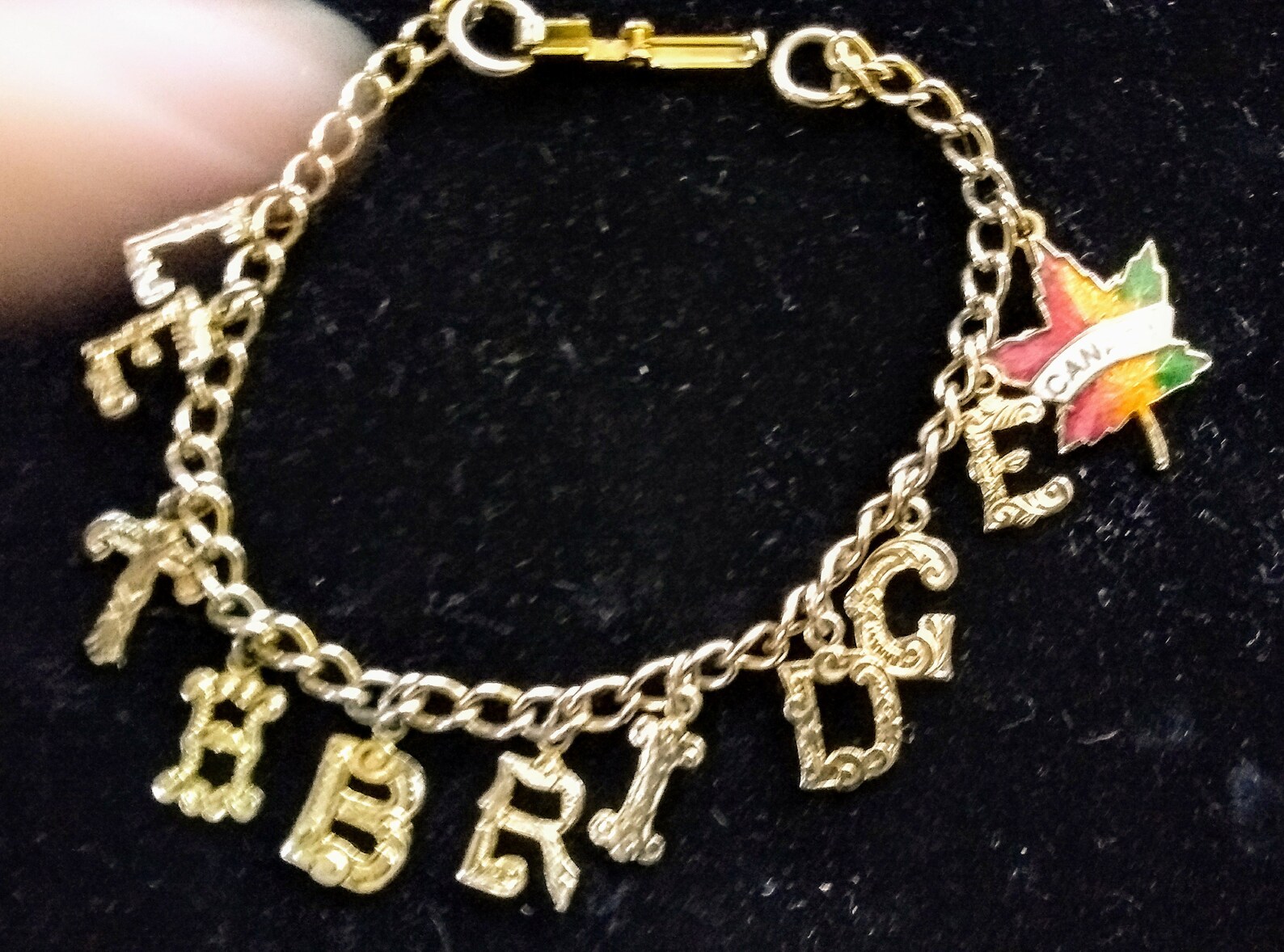 Vintage Gold Tone Souvenir Canadian Charm Bracelet From - Etsy