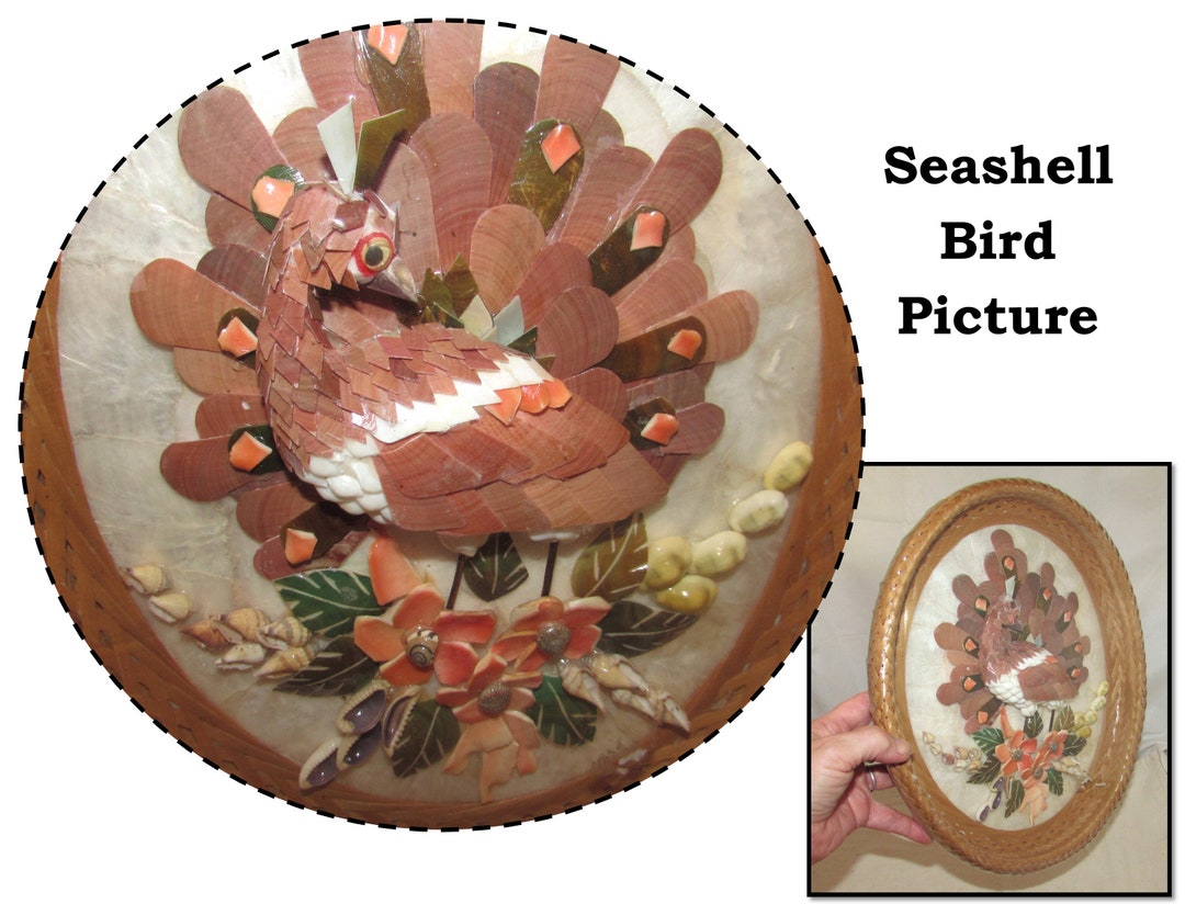 Vintage Wicker Framed Bird Made of Seashells Picture, Philippines - Etsy