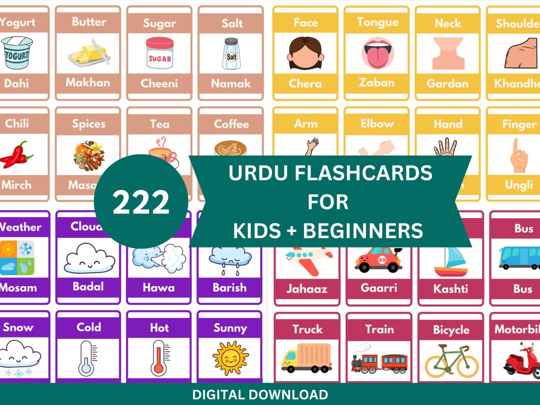 Urdu Flashcards for Kids, Learn Urdu, English to Urdu, First Steps to Learn Urdu, Urdu for ...