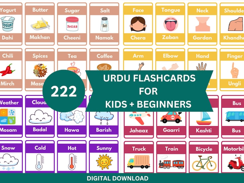Urdu Flashcards for Kids, Learn Urdu, English to Urdu, First Steps to ...