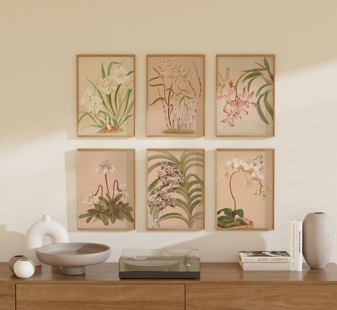 Vintage Orchid Gallery Wall Art Set of 6, Vintage Orchids Art Prints, Botanical Prints ...