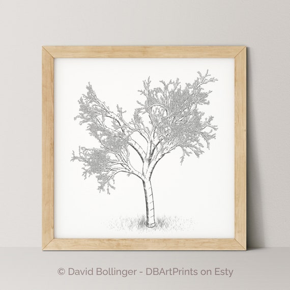 Digital Prints Botanical Plant Tree Drawing T3 Geometric Abstract ...