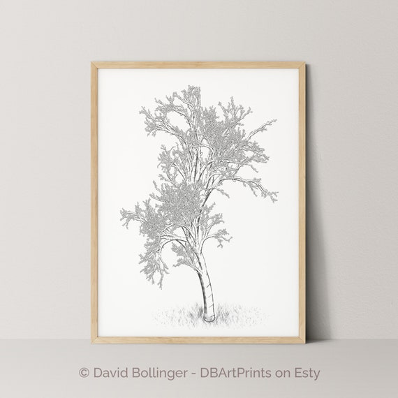 Digital Prints Botanical Plant Tree Drawing T3 Geometric Abstract ...