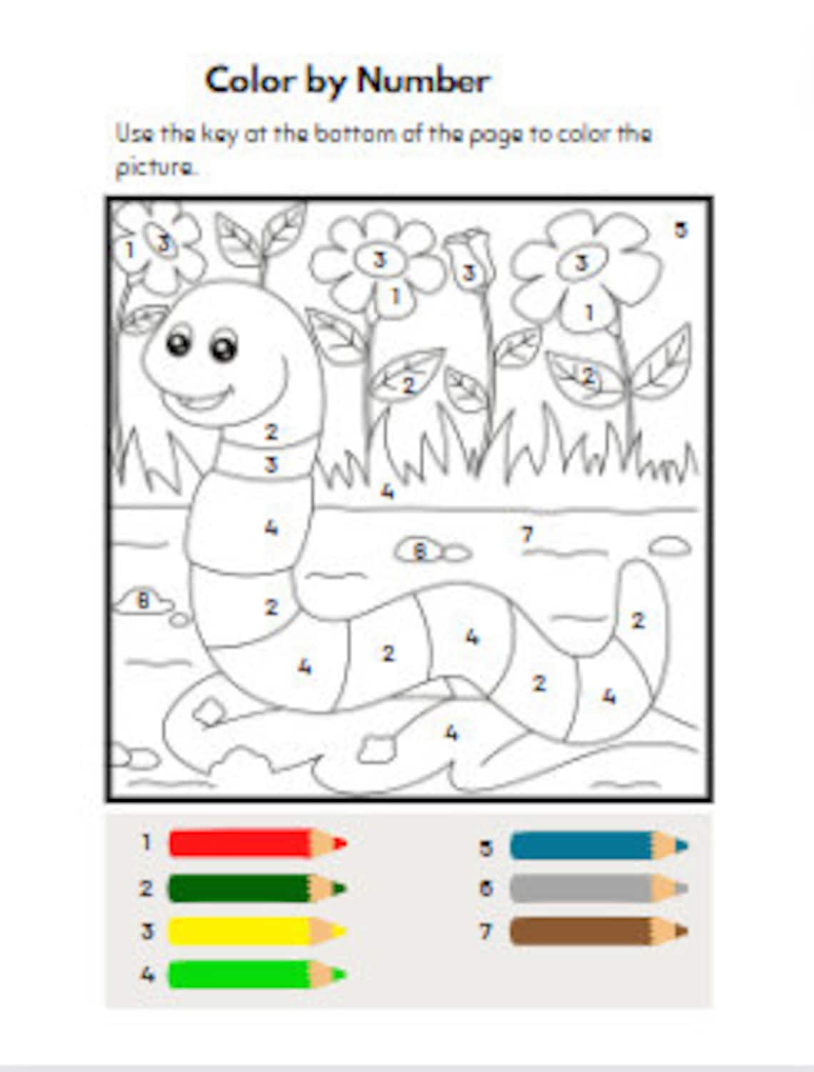 Color by Number Animal Edition - Etsy
