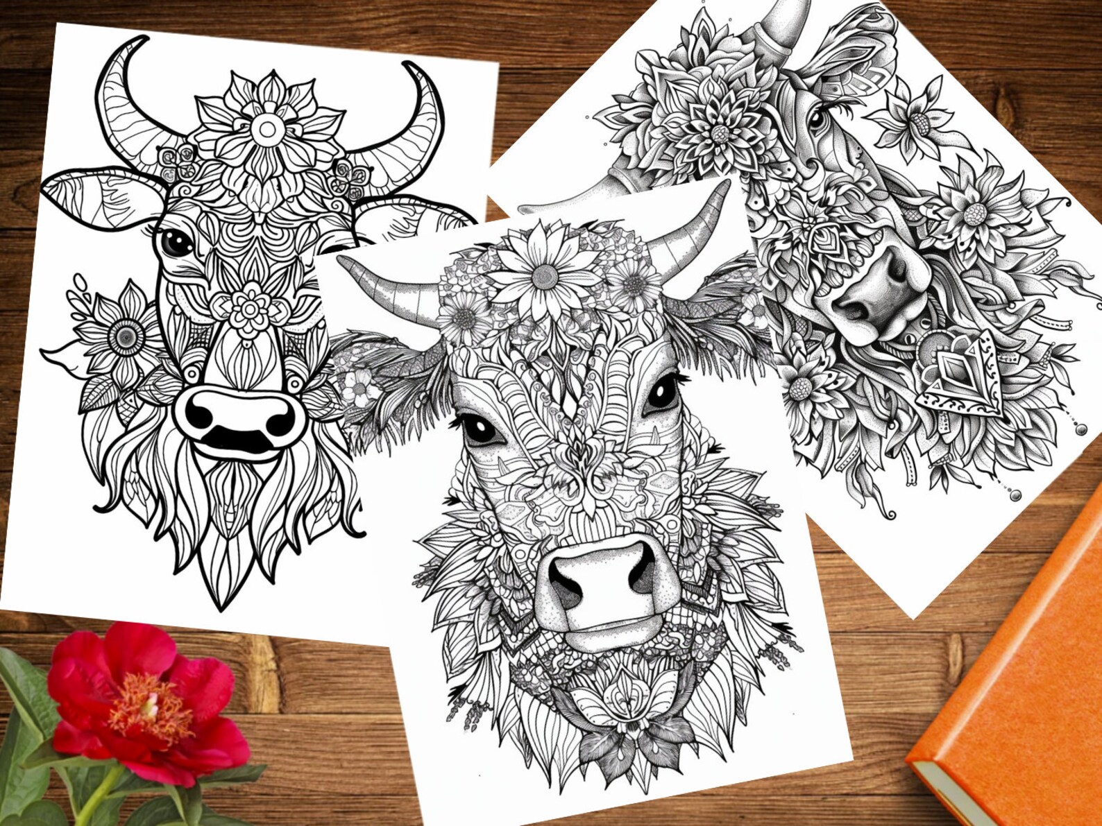 Adult Coloring Page Cow Mandala Instant Download I Printable Coloring ...