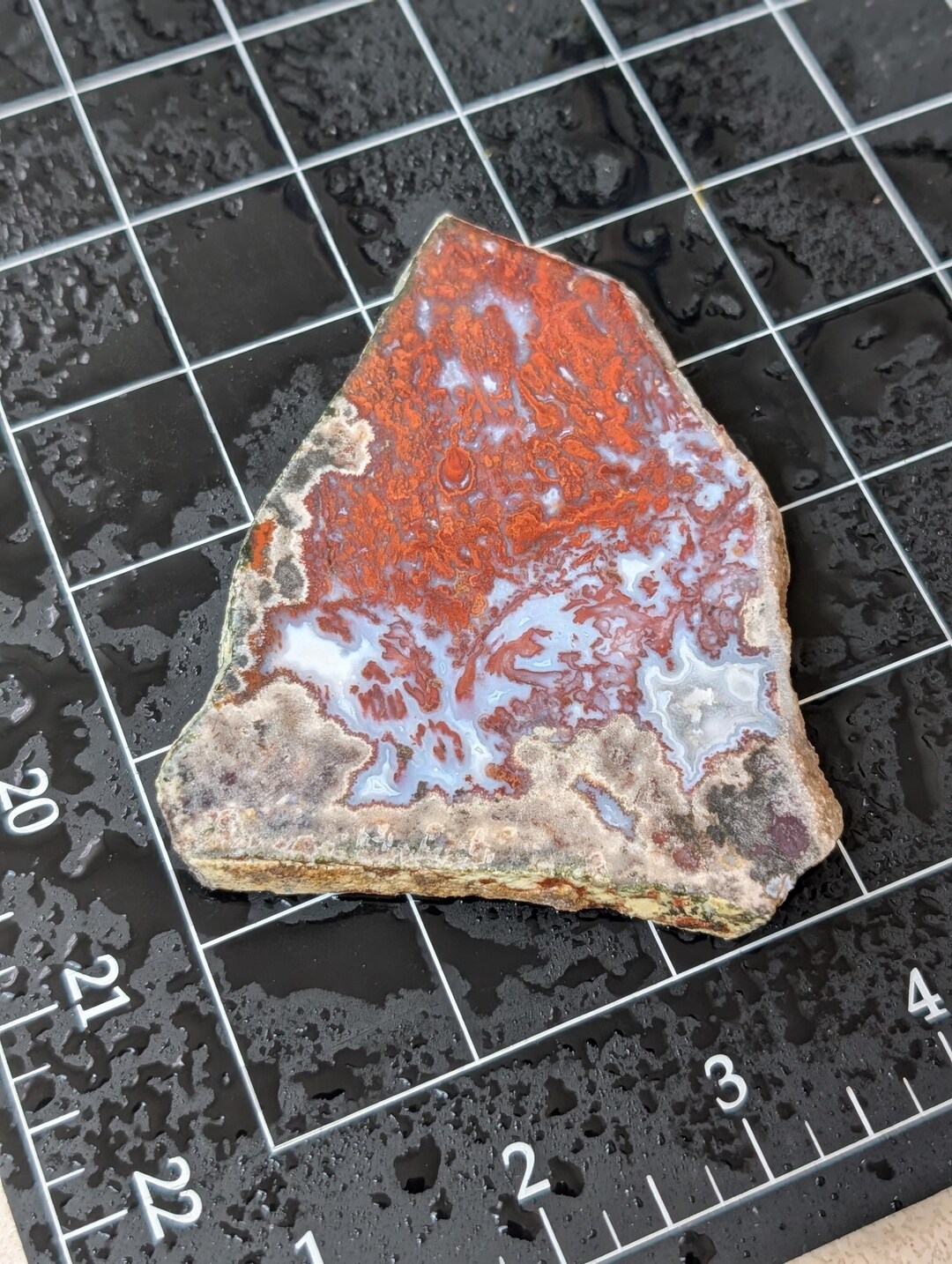 Red Lightning Agate - Lapidary Slab - Etsy