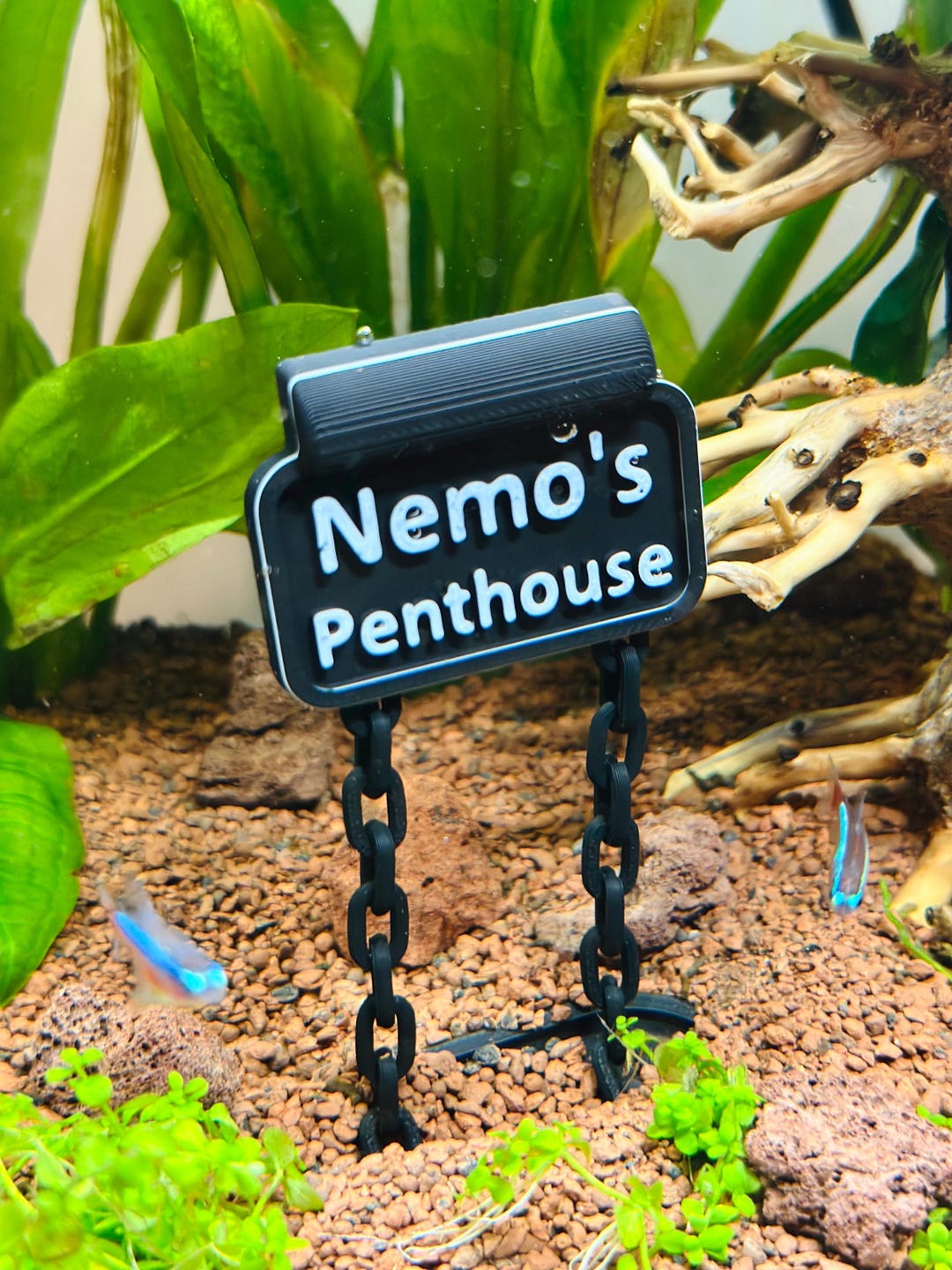 Personalised Floating Sign for Fish Tank, Name of Fish Sign, Creative ...