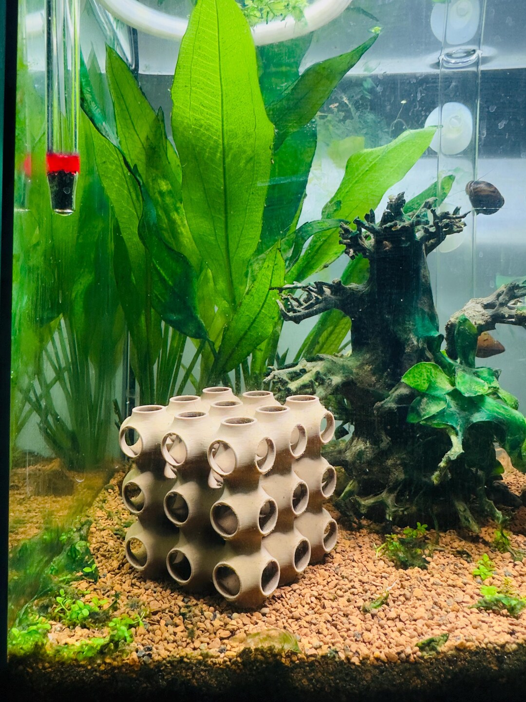 Shrimp or Fry Hideout Cube, Multi-colour Breeding Shelter, Aquarium ...
