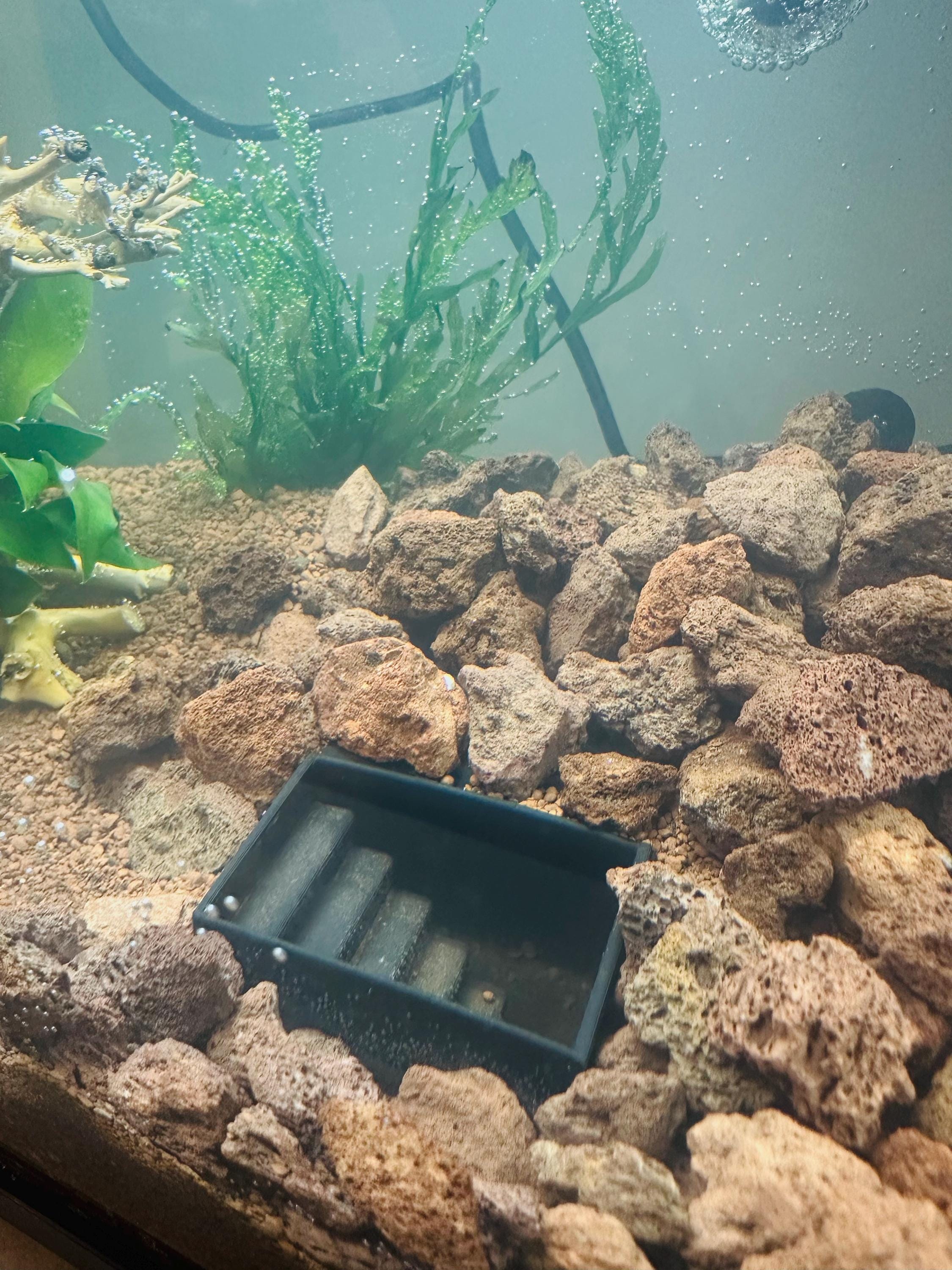 Fish Tank Tunnel With Stairs, Aquarium Hideout for Betta/shrimp/cory ...