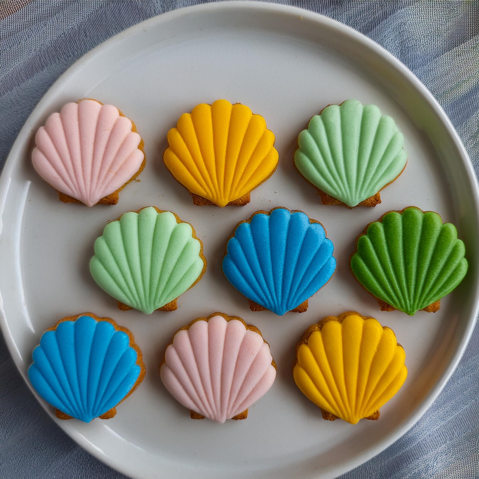 Scallop Shell Cookie Cutter STL File Instant Download - Etsy