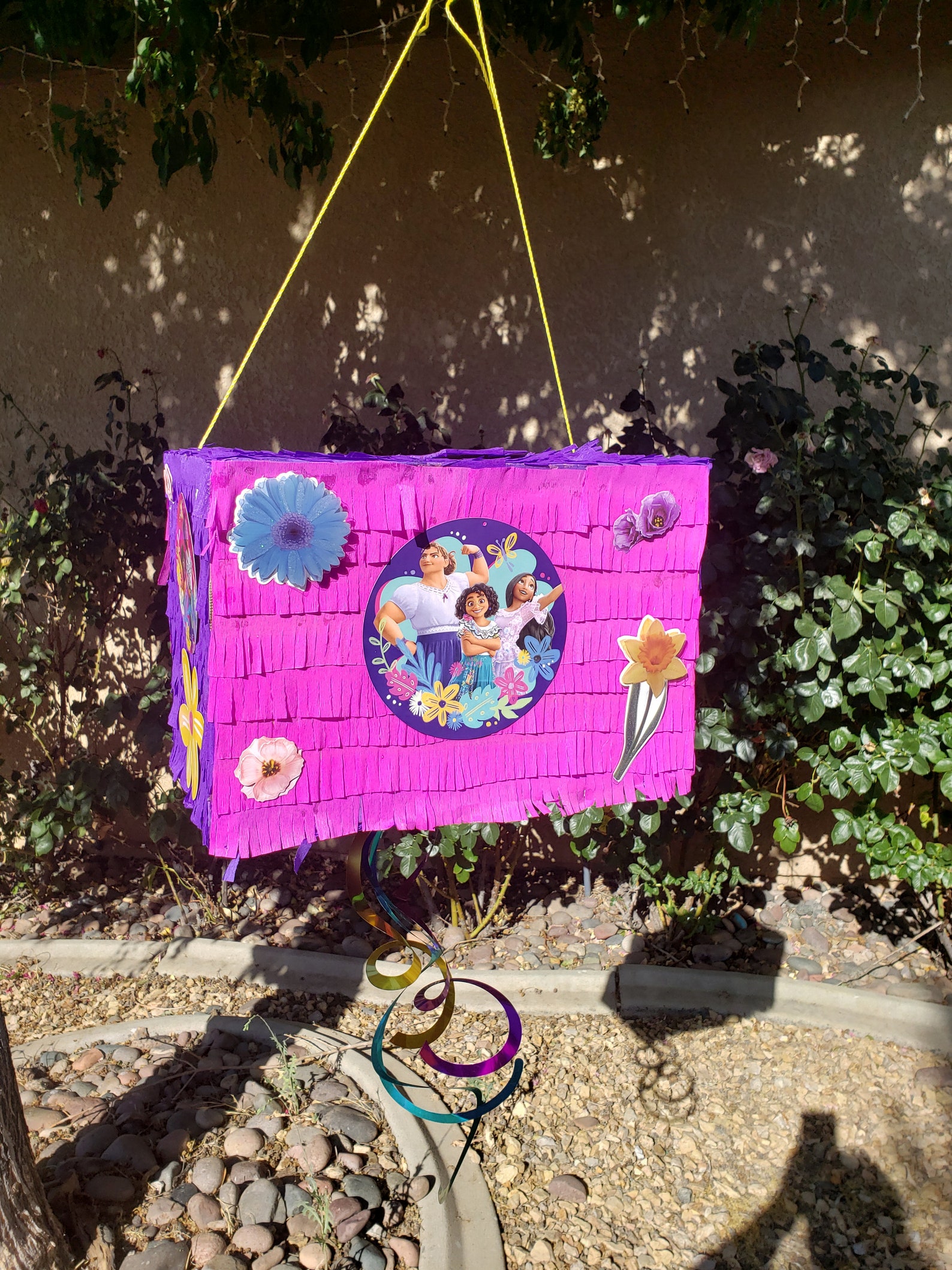 Beautiful Encanto Pinata for Girls With 2 Nice Colors - Etsy