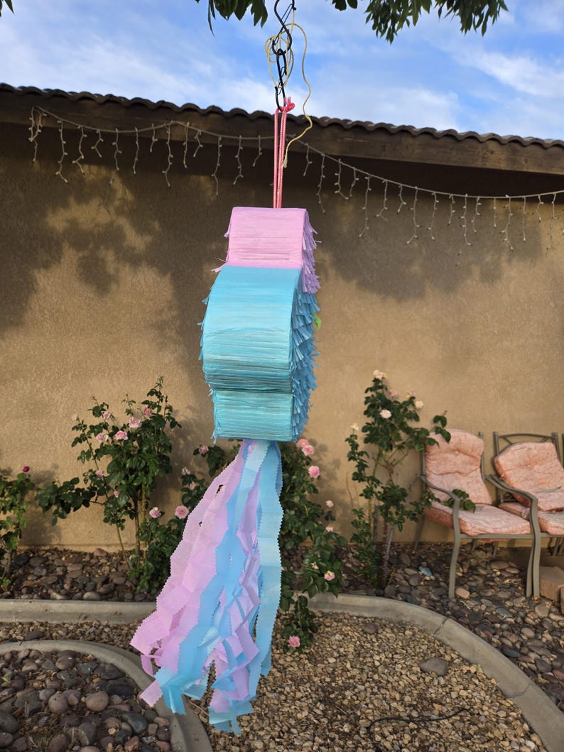 Cinnamon Roll Pinata: Party Decoration, Celebration Decor (17.5"l ×5"w× ...