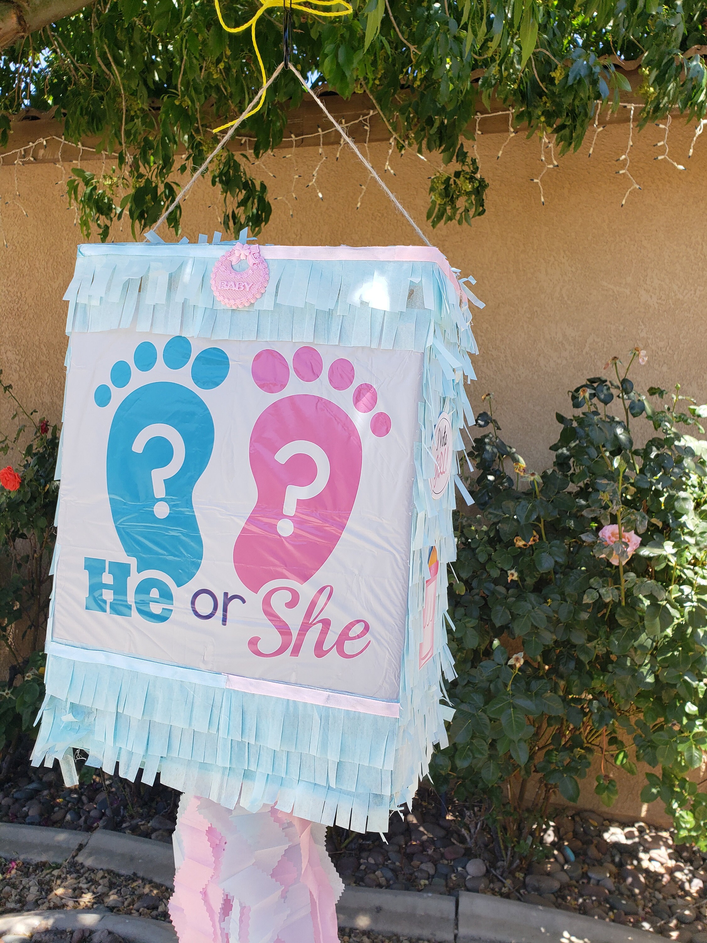 New Gender Reveal Pinata Ready to Ship - Etsy