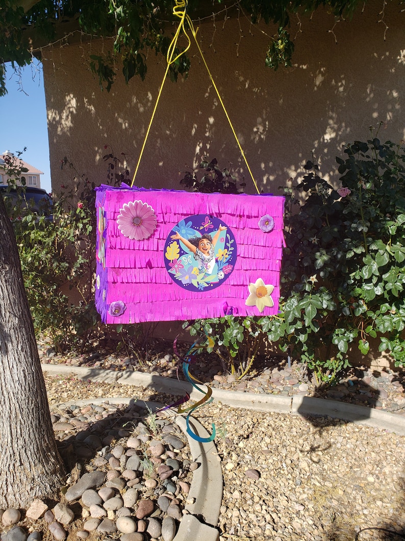 Beautiful Encanto Pinata for Girls With 2 Nice Colors - Etsy
