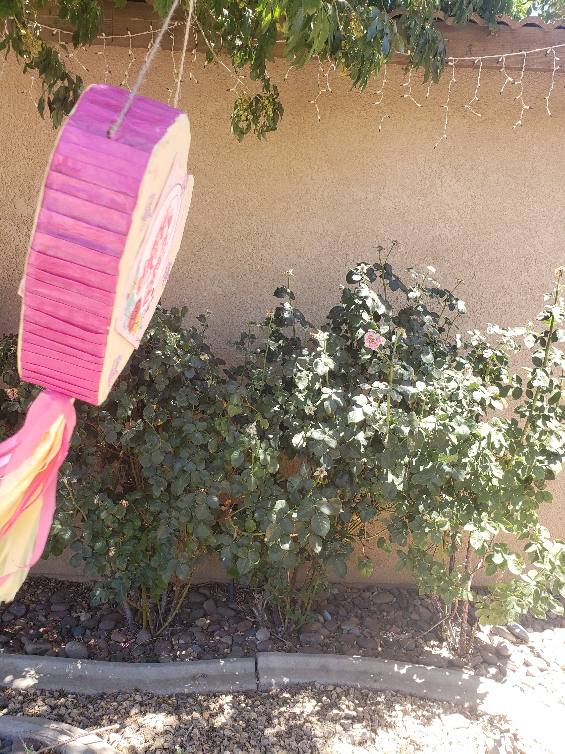 Dolly Parton: Country Music Decoration Heart or Pinata. - Etsy