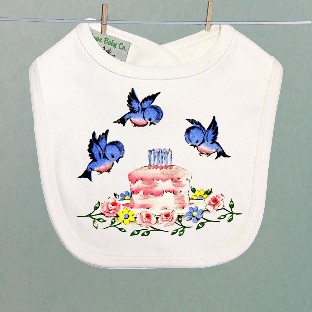 Baby Gift With Blue Birds. Cake Smash Retro Bib. Organic Vintage Vibe ...