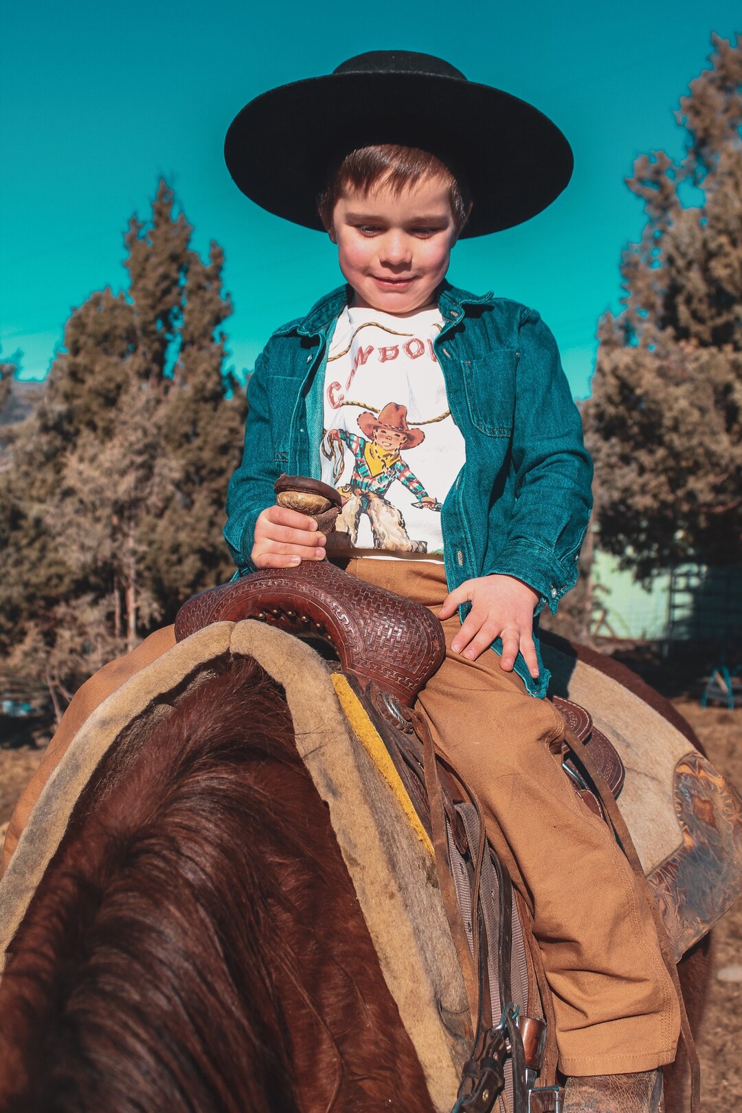 Rodeo Retro Cowboy Shirt. Lasso Rodeo Tee. Buckaroo Cowboy Shirt. Boy's ...