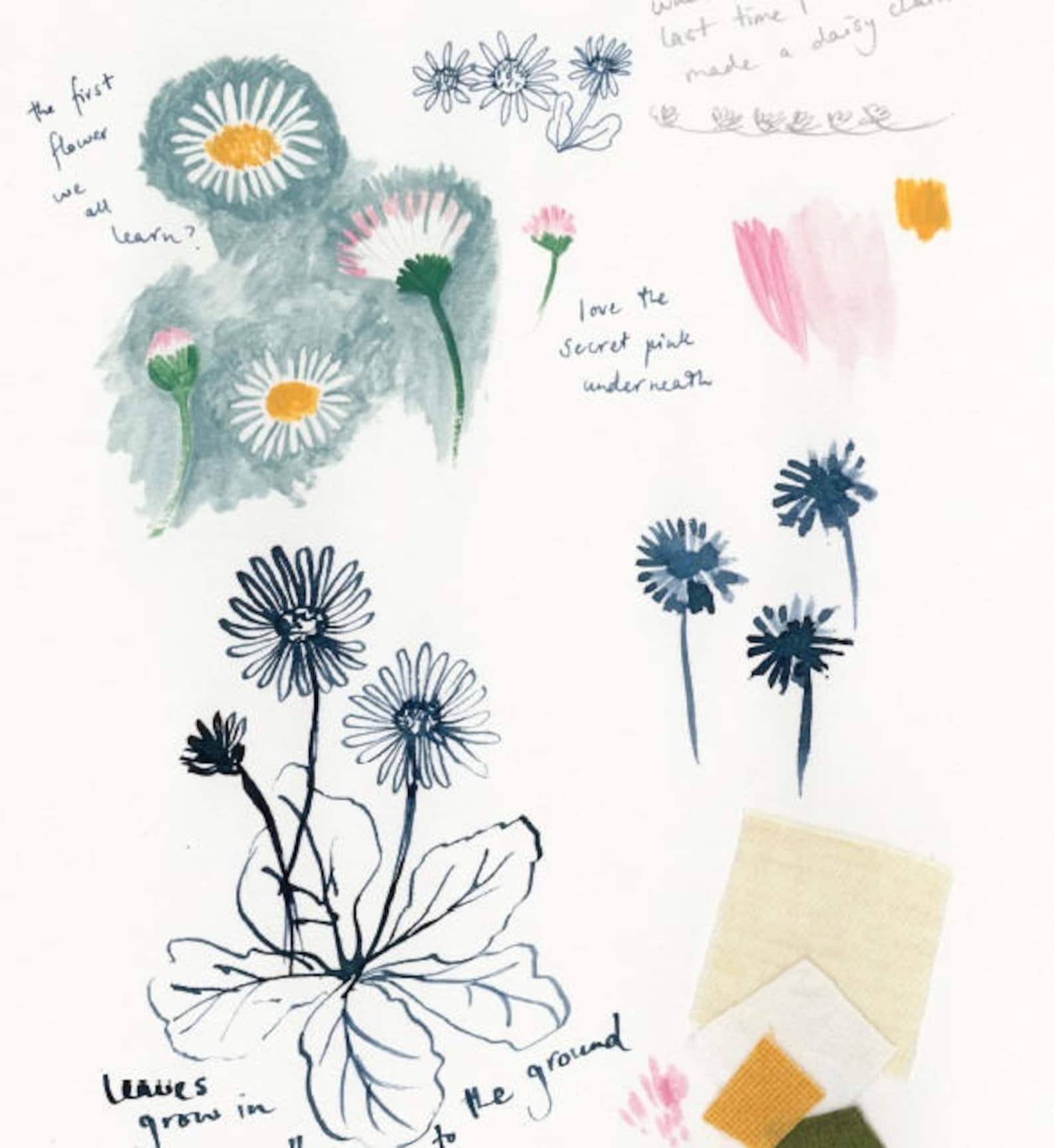 Wildflowers - A Stunning Pattern Book, With 12 Intricately Detailed ...