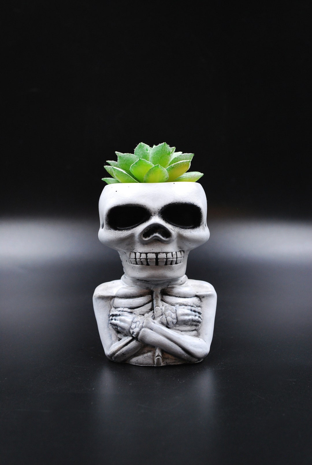 Skeleton Planter - Mini Skeleton Succulent Planter | Gothic Planter ...