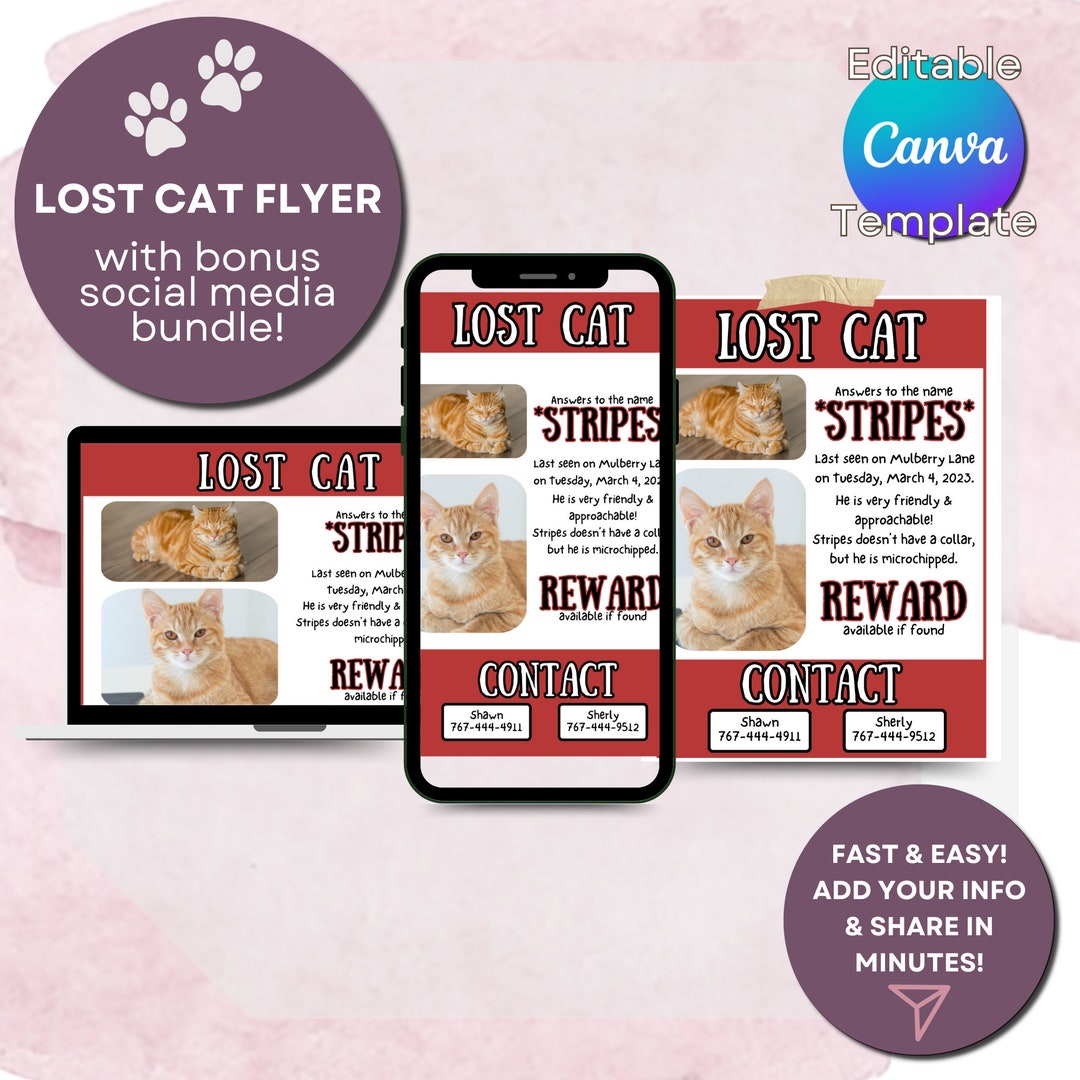 Lost Cat Poster Template, Printable Flyer, Social Media Images, Customizable in Canva: Edit ...
