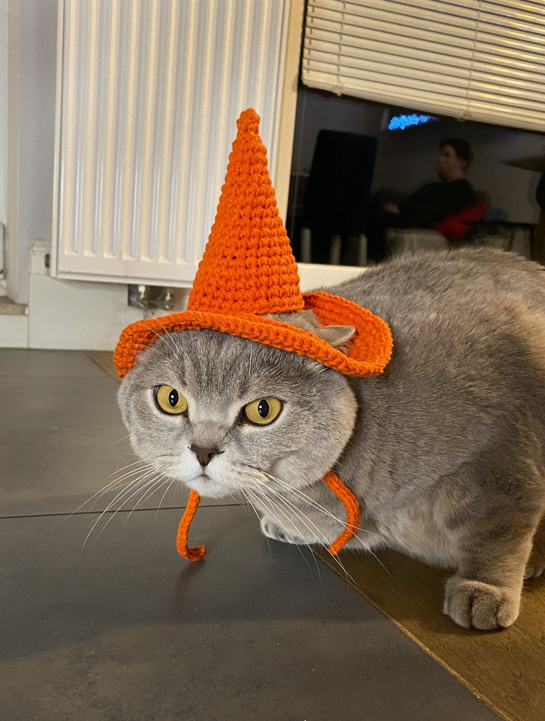 Wizard Crochet Orange Cat Hat With Earholes Cat Halloween Costume Cat ...