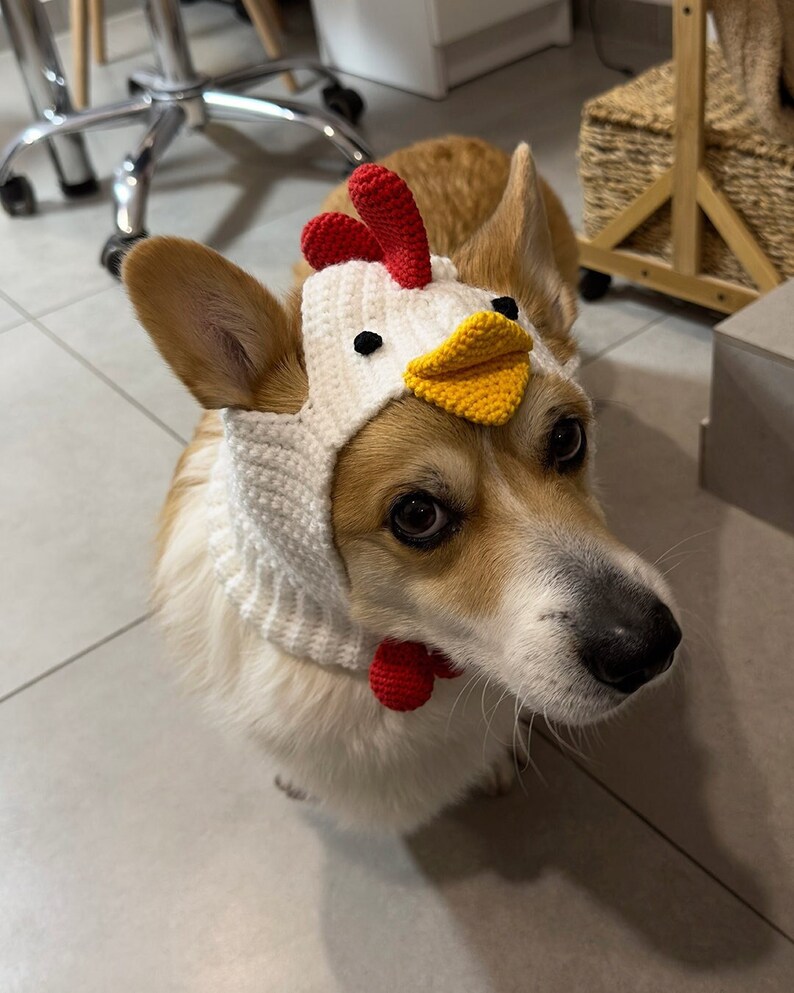 Chicken Dog Hat With Earholes Dog Hood Dog Costume Halloween Dog Hat ...