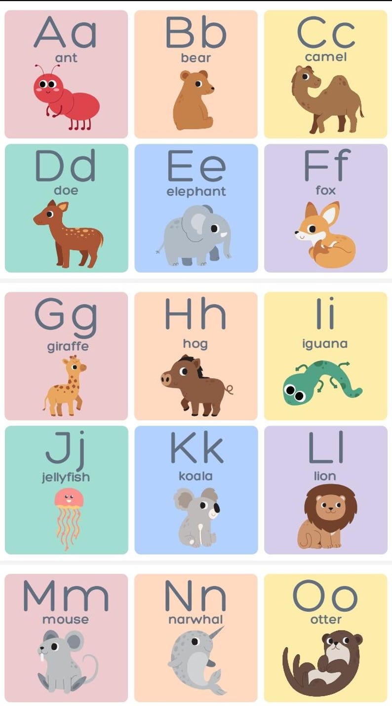 Rainbow Pastel Animal Alphabet Flashcards - Etsy