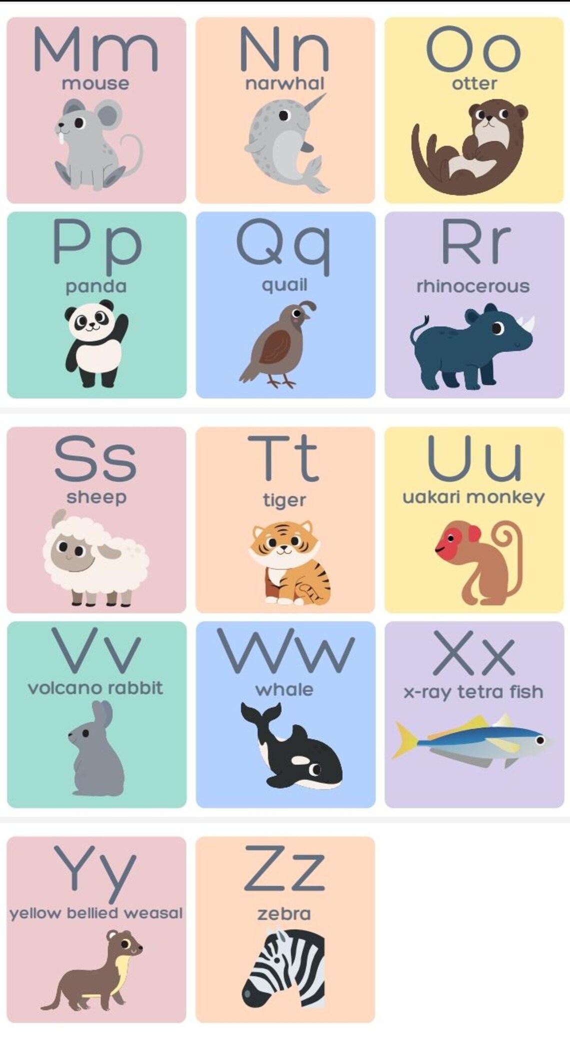 Rainbow Pastel Animal Alphabet Flashcards - Etsy