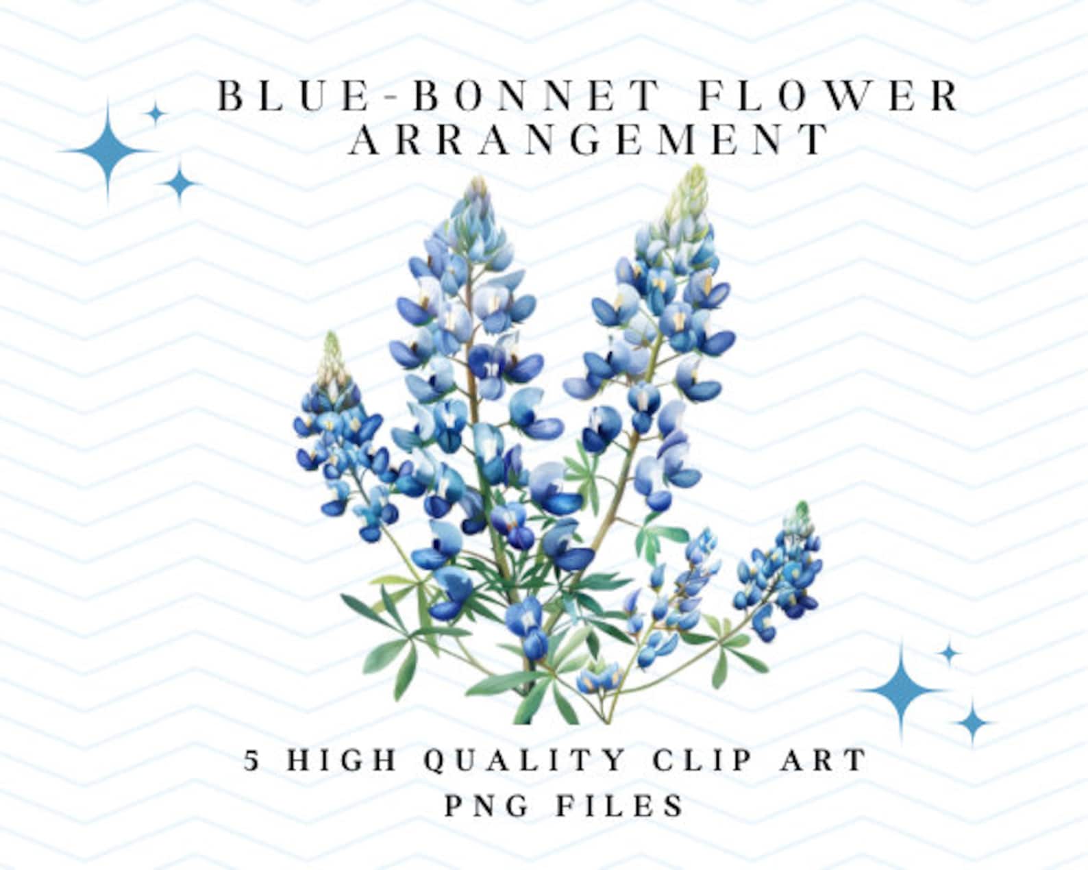 Set of 5 Bluebonnet Flower Clip Art High Resolution Digital Files ...