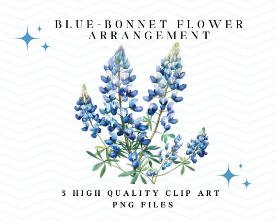 Set of 5 Bluebonnet Flower Clip Art High Resolution Digital Files ...