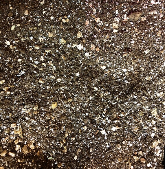 African Violet Soil Quart or Gallon Size | Etsy