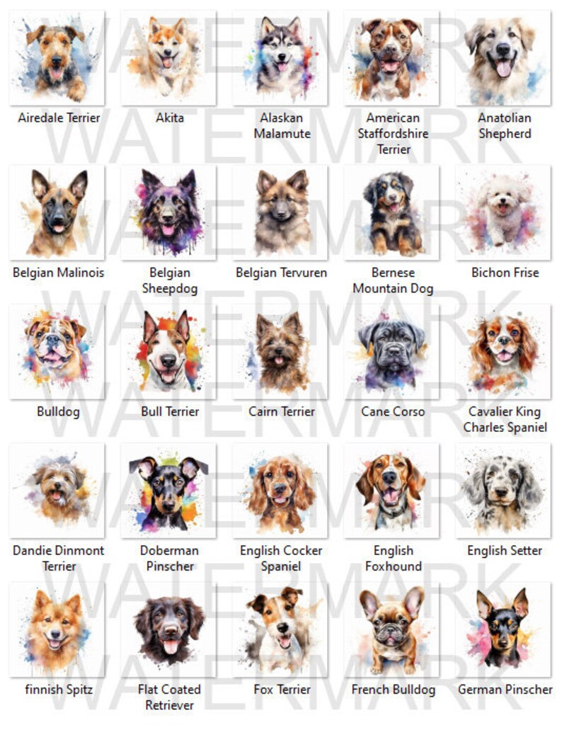 Watercolor Dogs Clipart, Dog Breeds Clipart, Dog Clipart, Dog Png, Dog ...