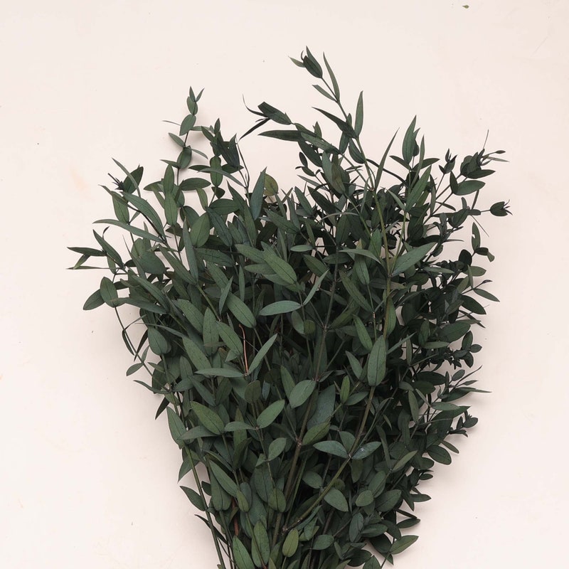 Dried Greenery - Etsy