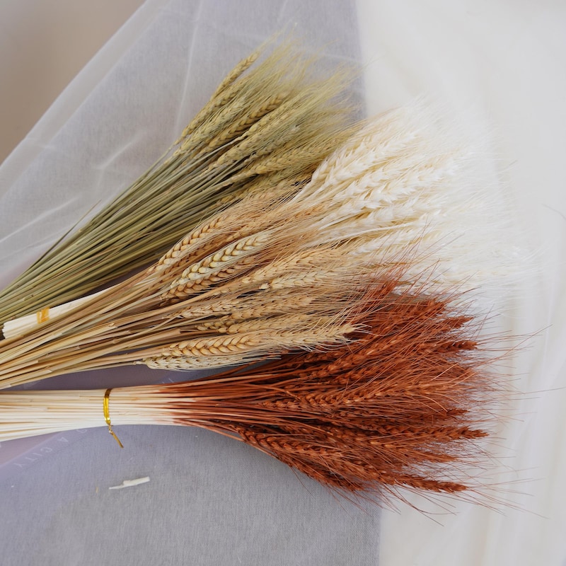 Dried Wheat - Etsy