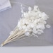 Natural Dried Lunaria Bunch: DIY Floral Arrangement Supply - Etsy