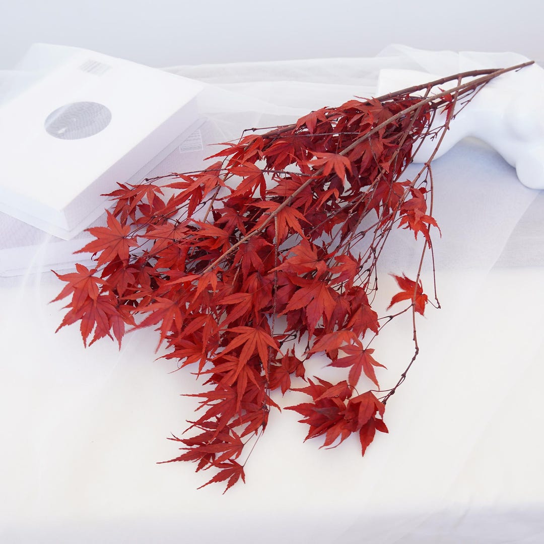 Dried Red Maple Leaf Bunch: Natural Vase Flower Arrangement - Etsy