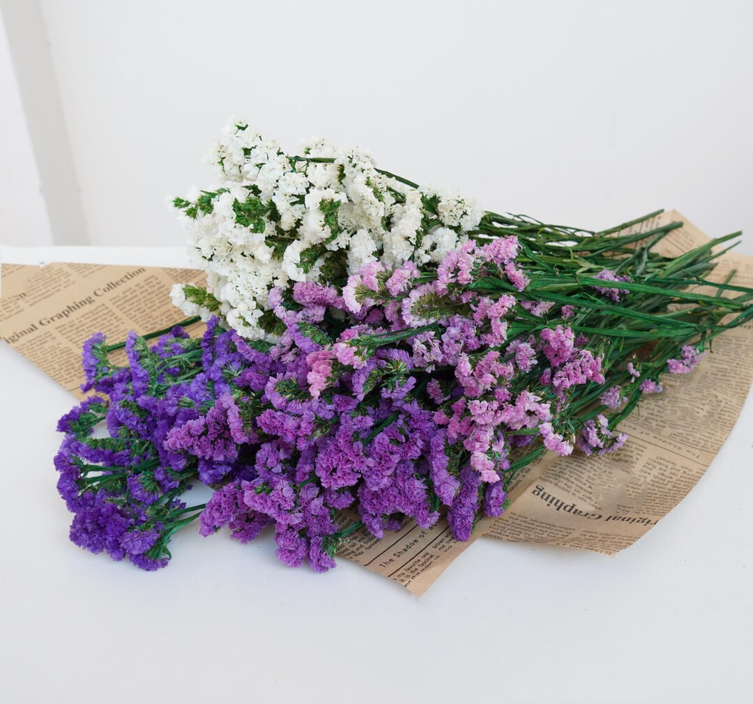 Dried Statice Flower Bunch: Wedding Home Vase Arrangement - Etsy