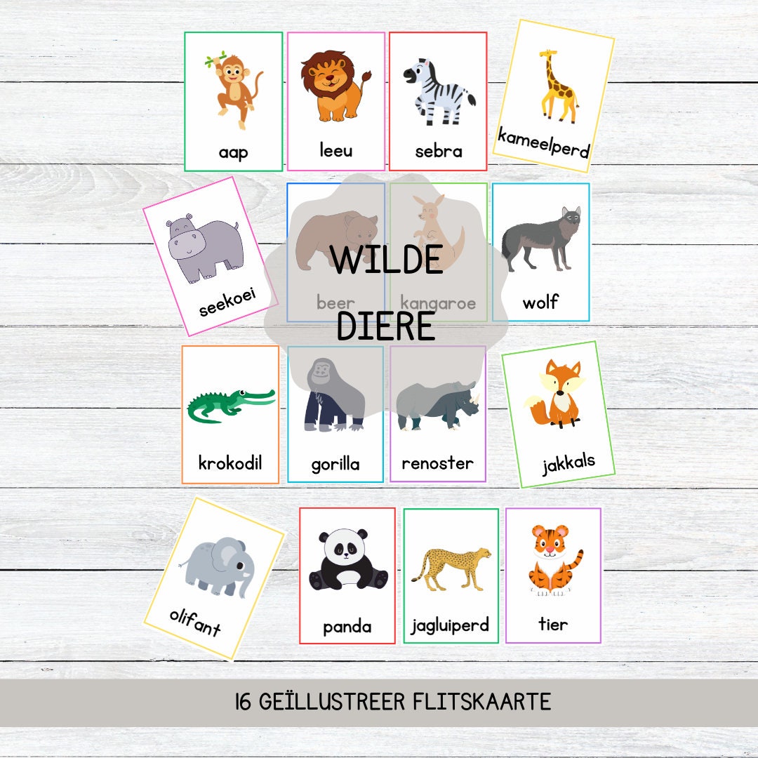 Illustrated Wild Animal Flashcards Afrikaans Flitskaarte Wall Posters ...