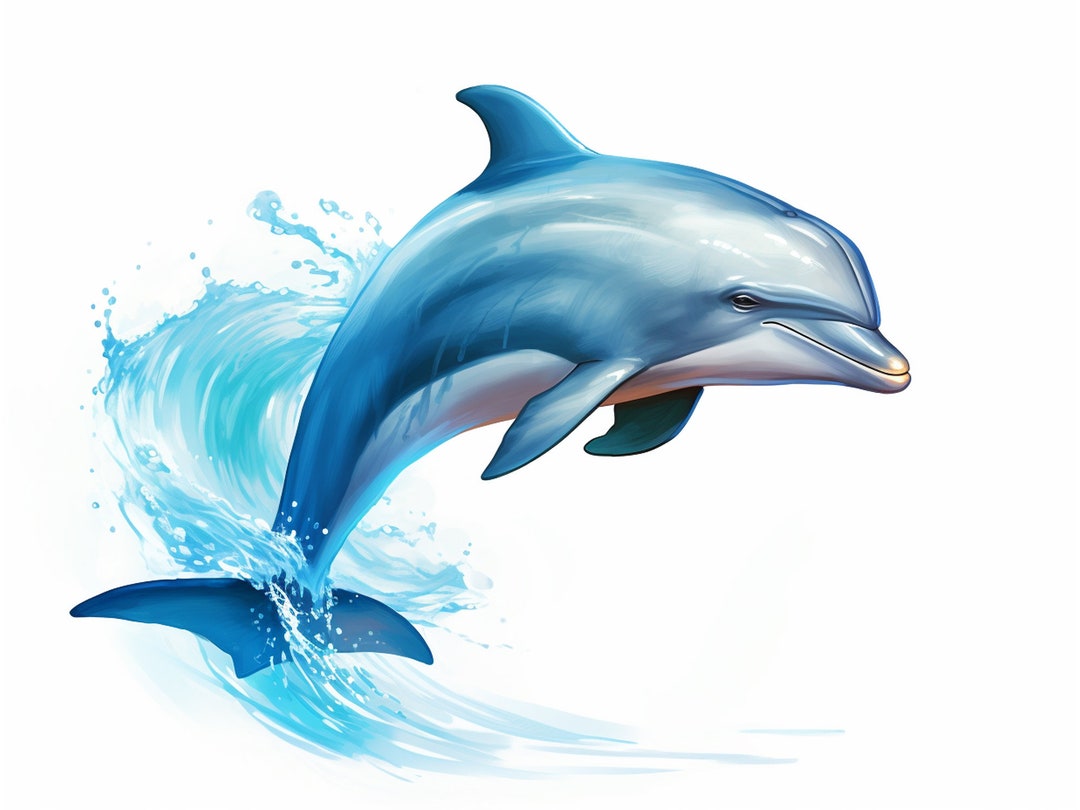 Playful Dolphin Clipart PNG - Etsy