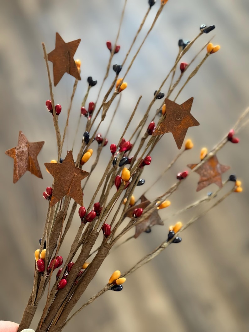 Patriotic Pip Berry Rust Star Pick- SET of 2- Red White and Blue Pip ...