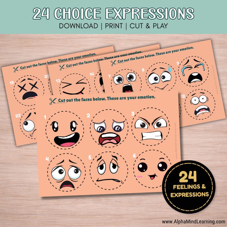 Feelings & Facial Expressions Matching Game | Autism Preschool ...