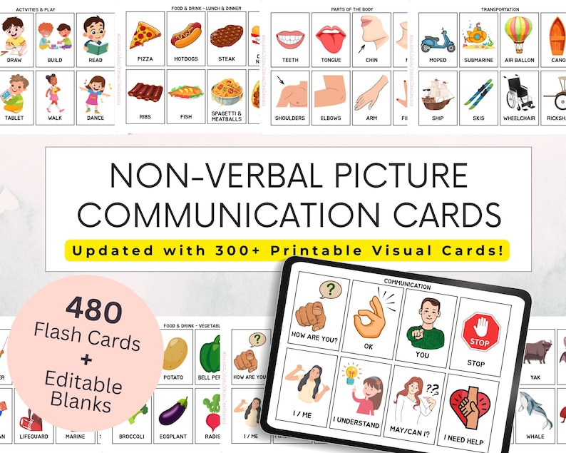 480 Printable Picture Communication Cards, Nonverbal Visual Aid ...