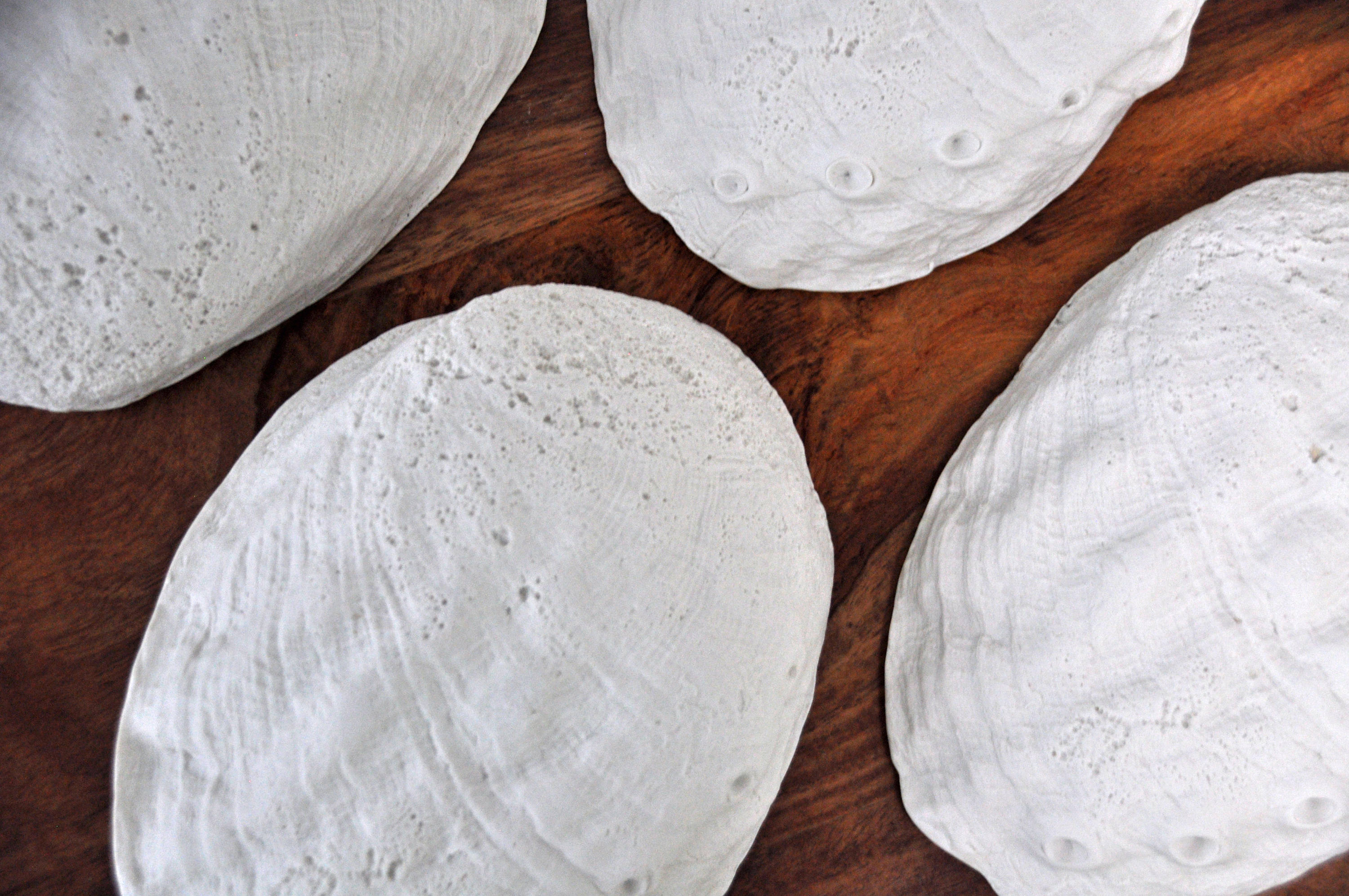 Gold Splatter Abalone Bowl Abalone Shell Beach Decor Ring | Etsy