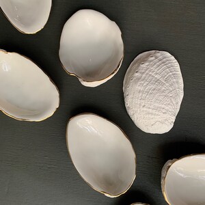 Gold Trim Abalone Bowl Abalone Shell Beach Decor Ring Dish - Etsy