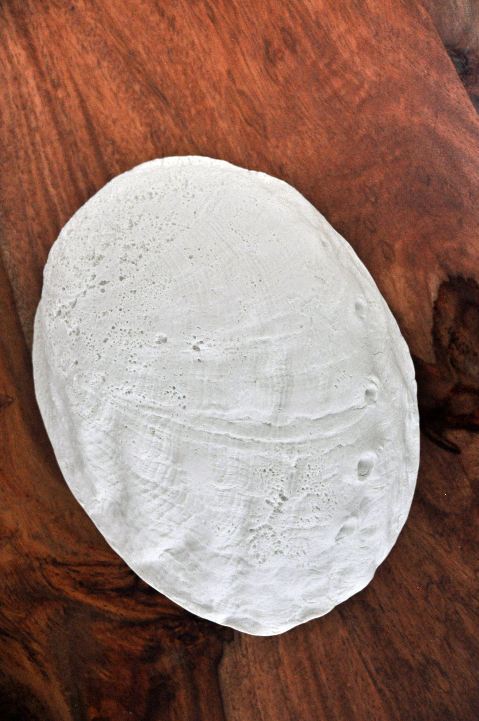 Gold Splatter Abalone Bowl Abalone Shell Beach Decor Ring | Etsy