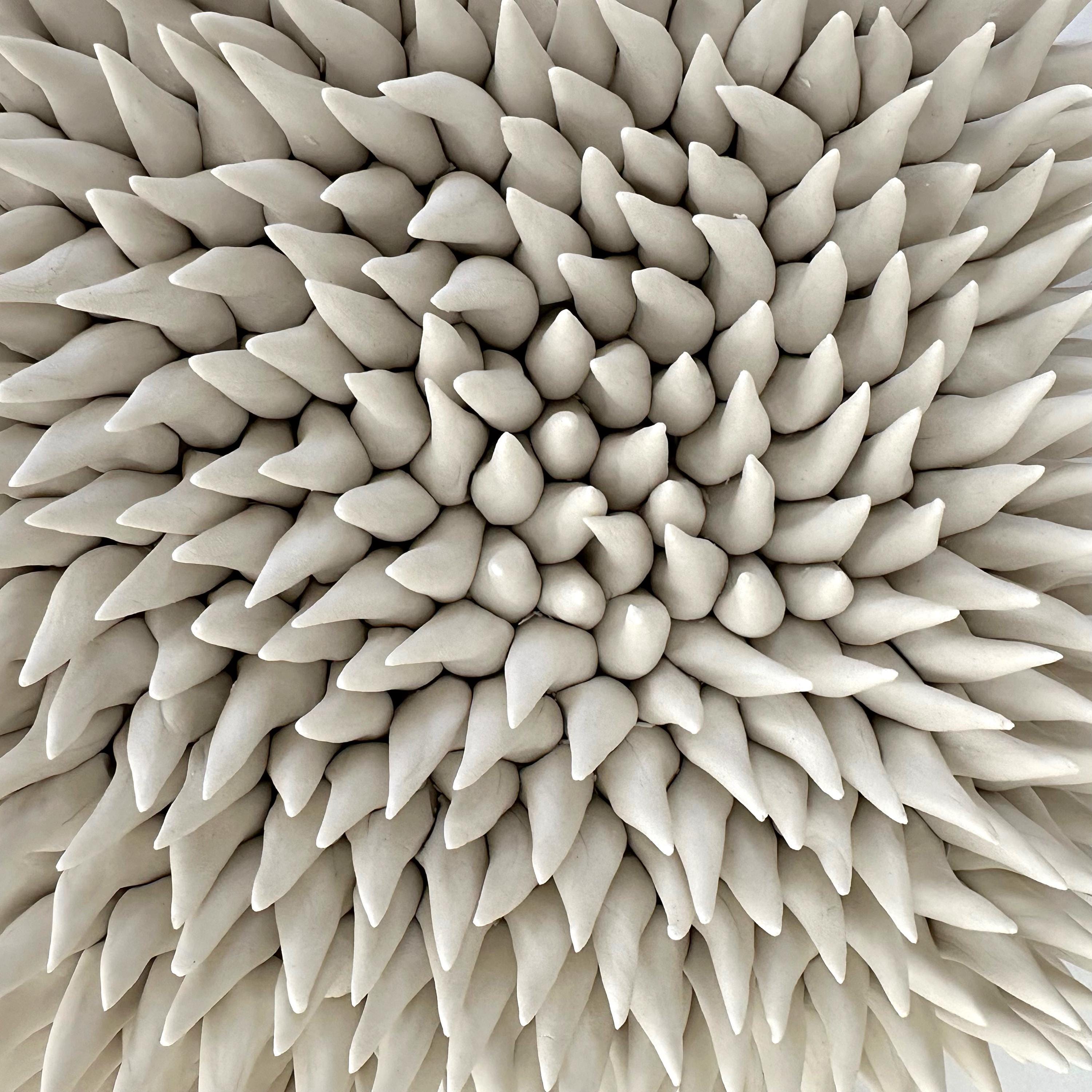 The Paragon Collection - Organic Wall Installation - MADE TO ORDER ...