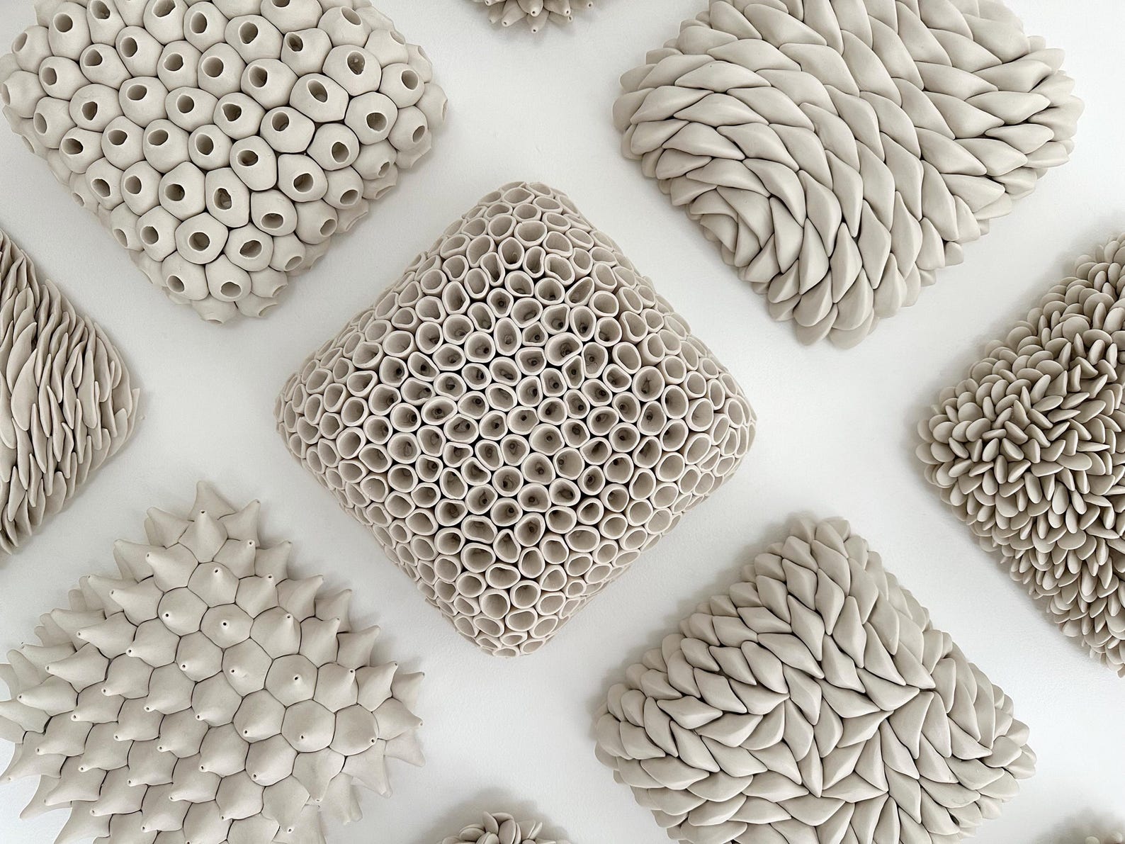 The Paragon Collection - Organic Wall Installation - MADE TO ORDER ...
