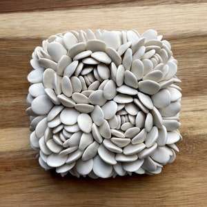 Escheveria Micro Tile Porcelain Wall Sculpture Ceramic Wall - Etsy