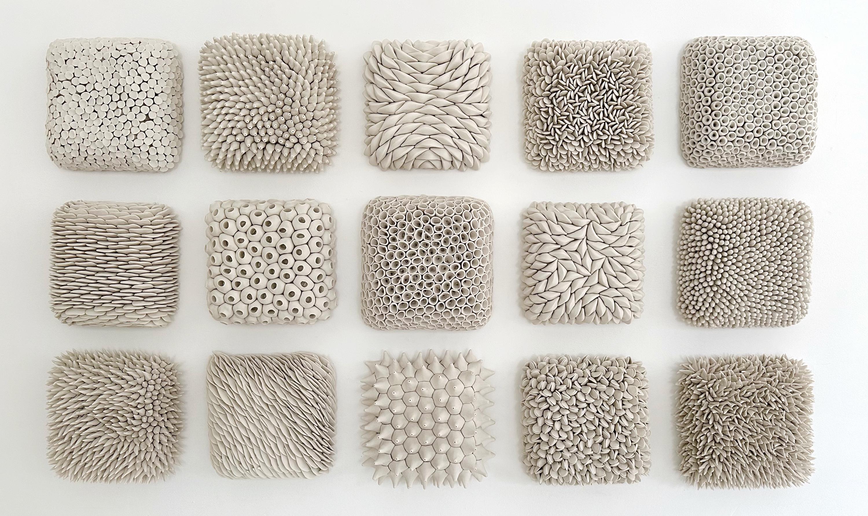 The Paragon Collection - Organic Wall Installation - MADE TO ORDER ...