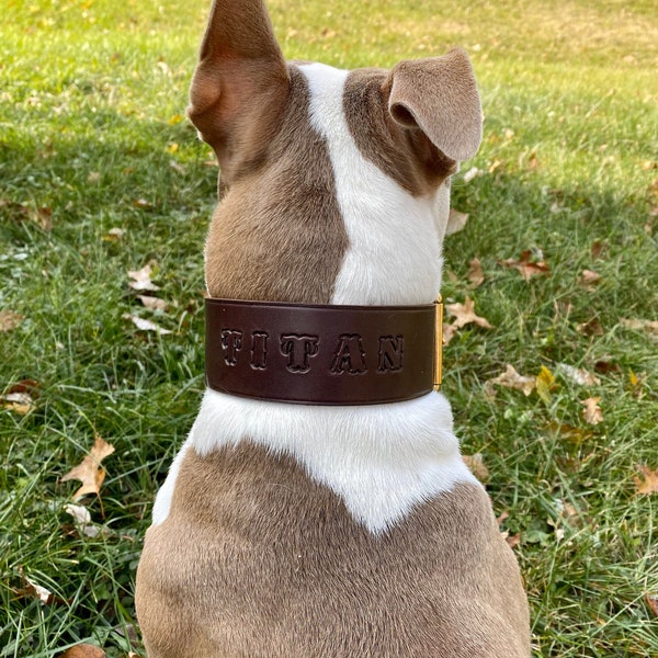 Leather Dog Collar Pattern - Etsy